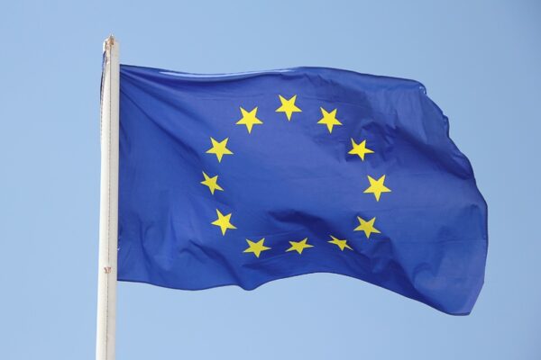 Application for EDIC Digital Commons submitted - Digital Government
